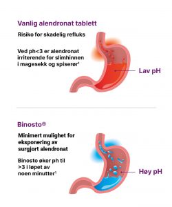 Startsidan - Binosto