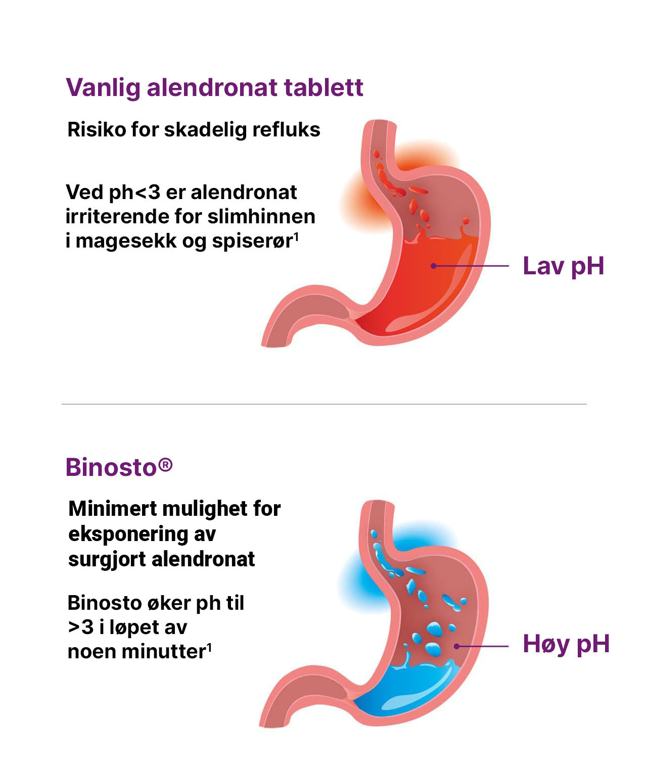 Startsidan - Binosto